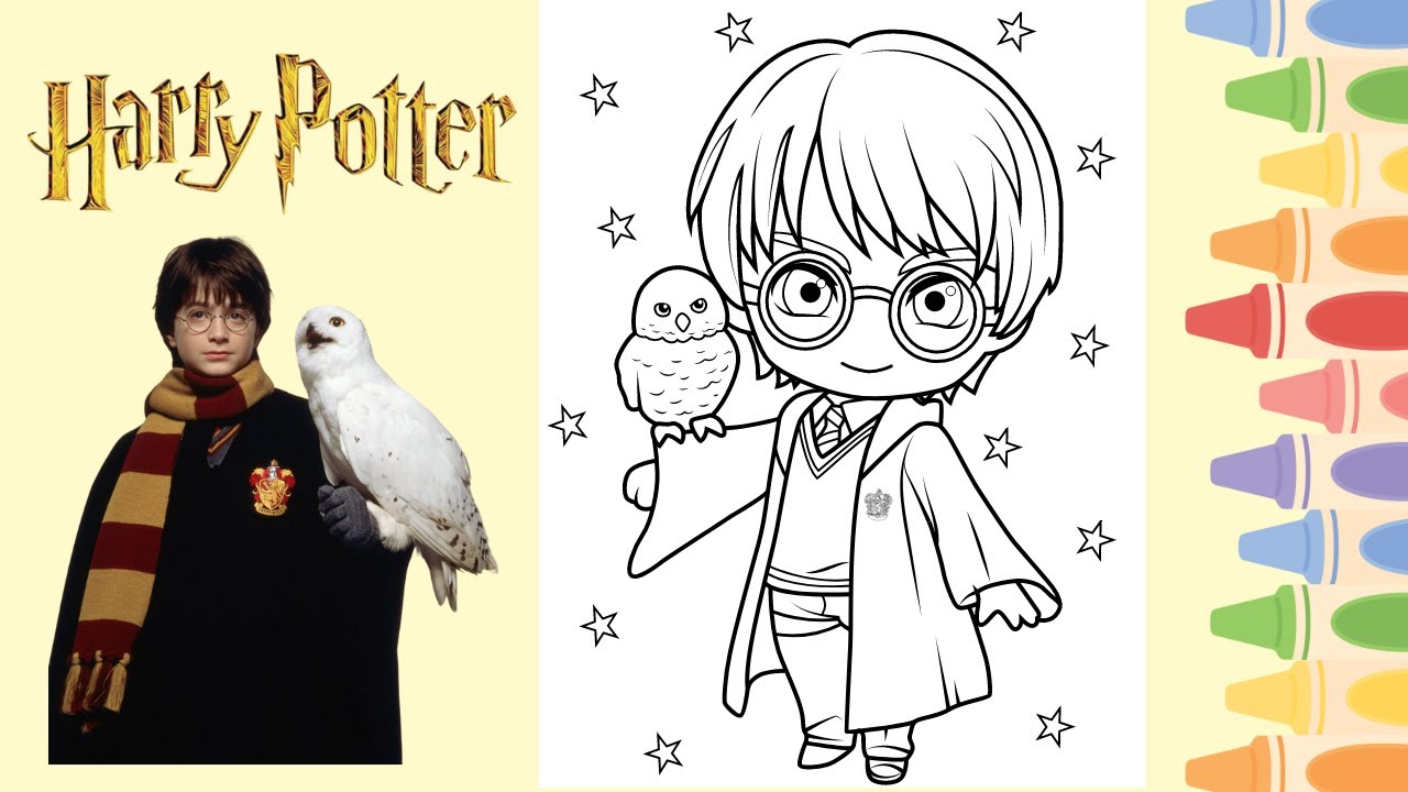 Harry Potter Colouring Page I Harry Potter & Hedwig - YouTube