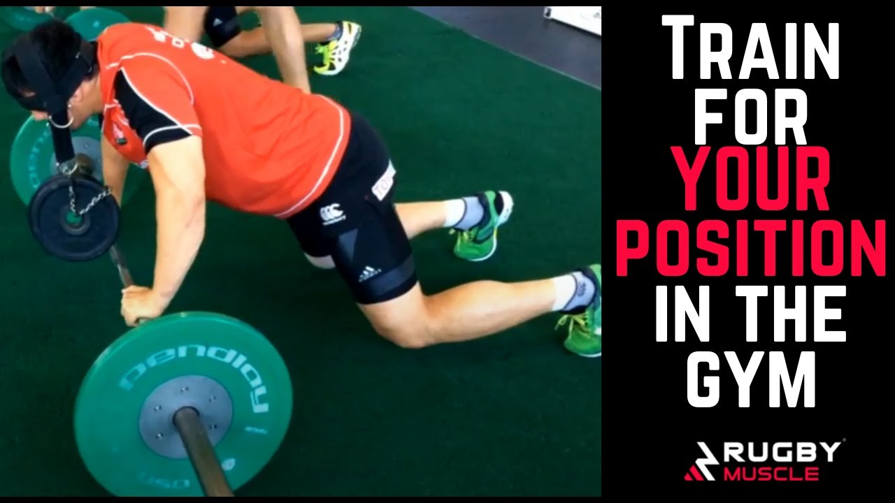 Position Specific Rugby Training In the Gym - Why/When/How - Rugby ...
