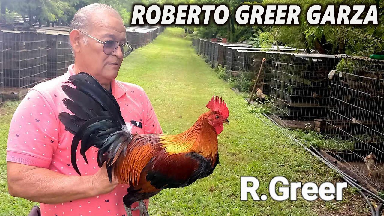 Beautiful Birds Roberto Greer Garza - YouTube