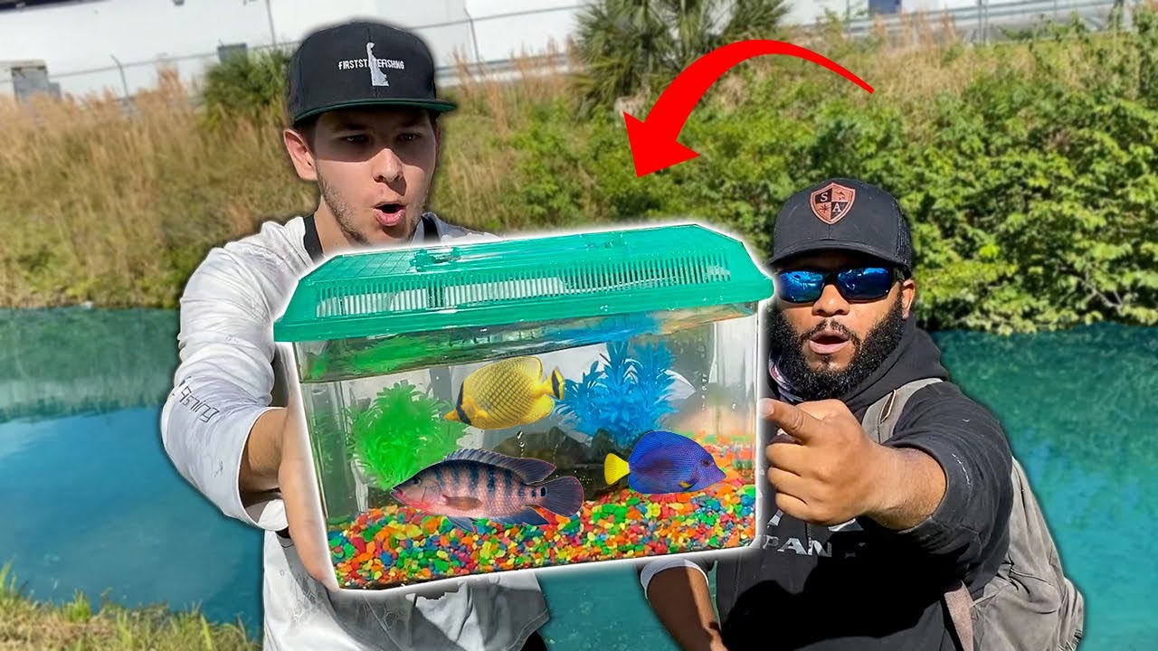 Catching NEW PET FISH for AQUARIUM!! (Exotic Fish) - YouTube