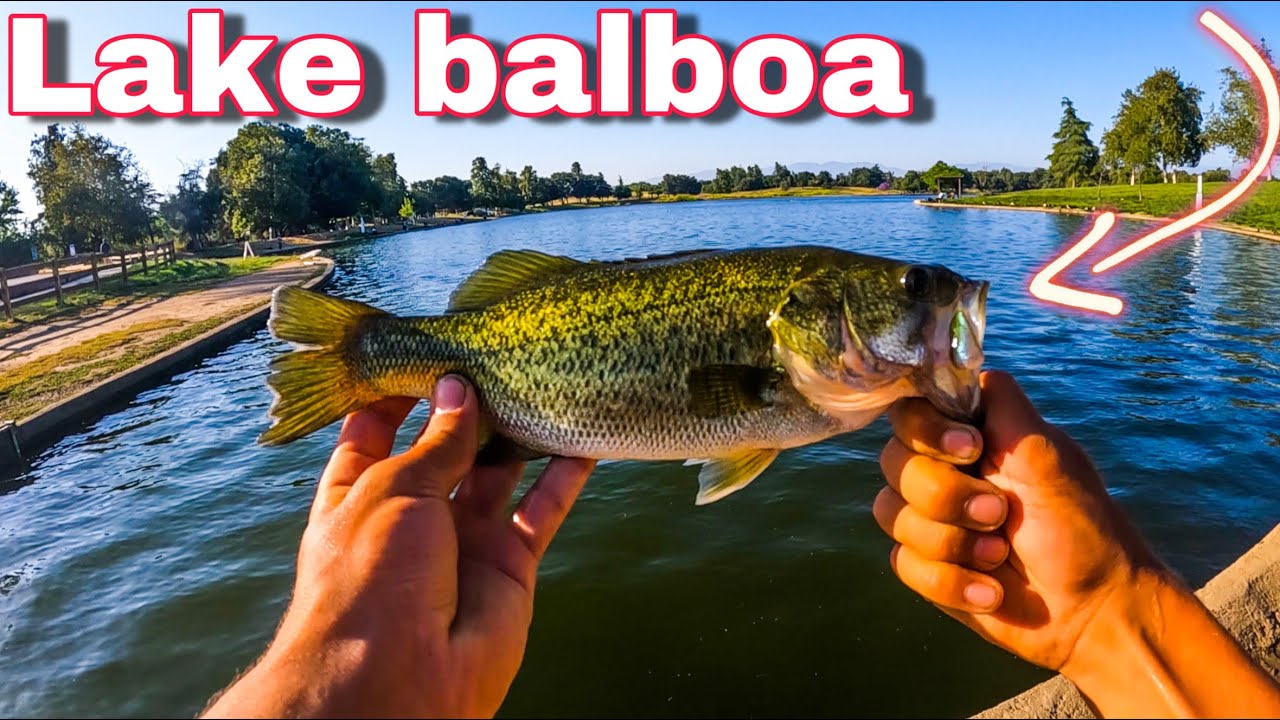 Lake balboa bass fishing (finesse) - YouTube