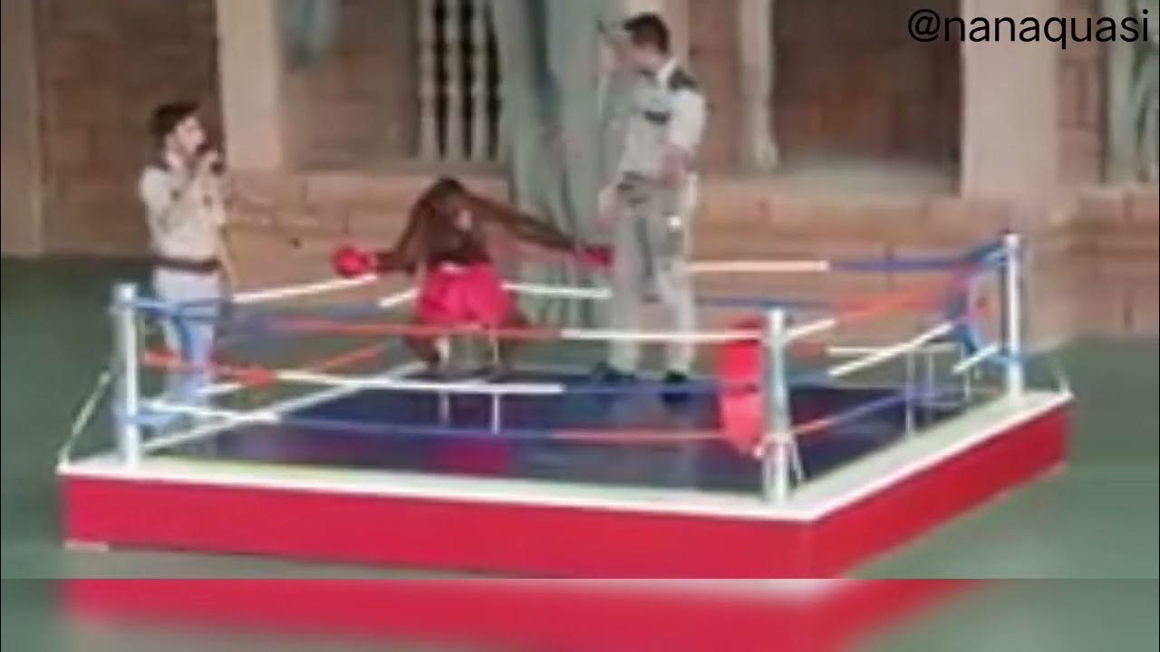 Funny 🤣🤣 moment Orangutan boxing show more than wrestling - YouTube