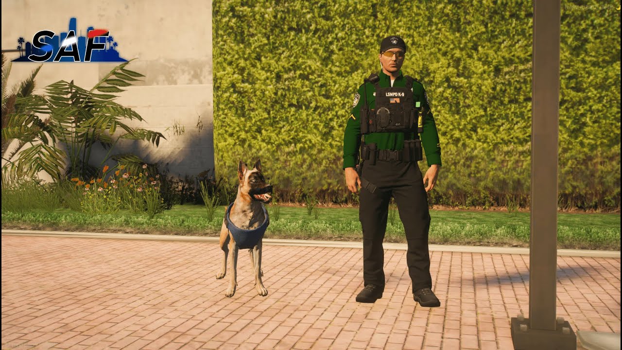Tactical Woof Woof | SA'F | Stream VOD - YouTube