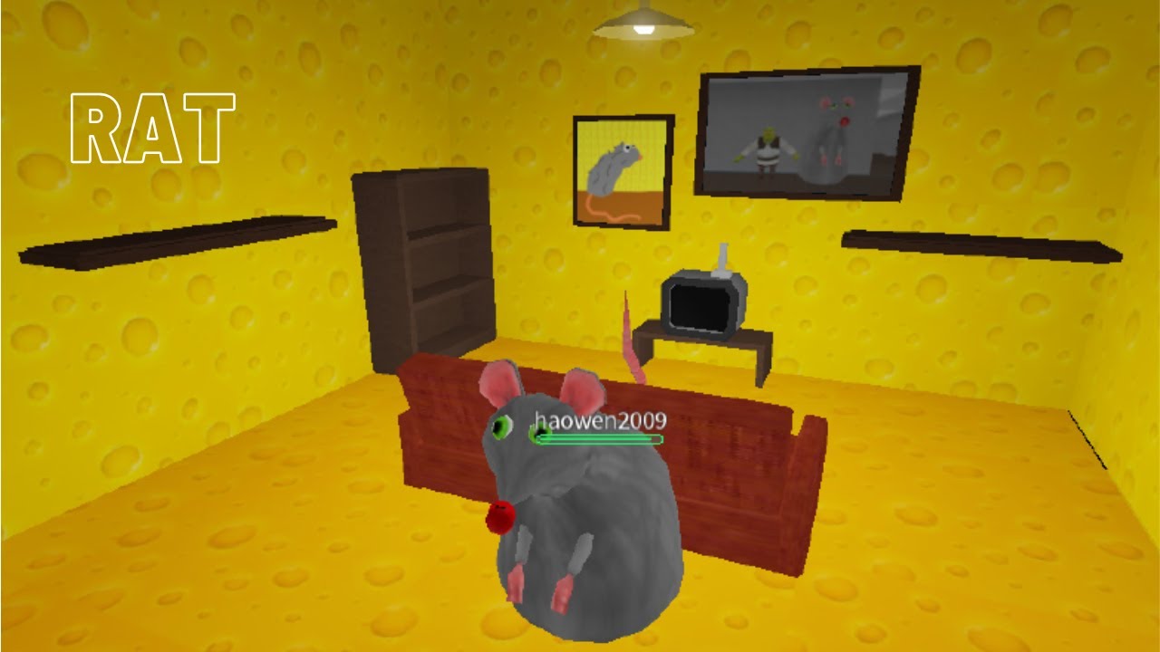 How to get rat morph in backrooms morphs roblox - YouTube