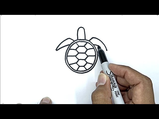 How To Draw A Turtle With Number 0 | Drawing With Number - Videos For Kids