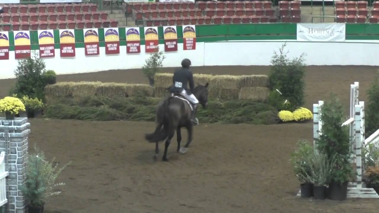Caramo and Harold Chopping WIN $10k USHJA Hunter Derby Duke Childrens ...