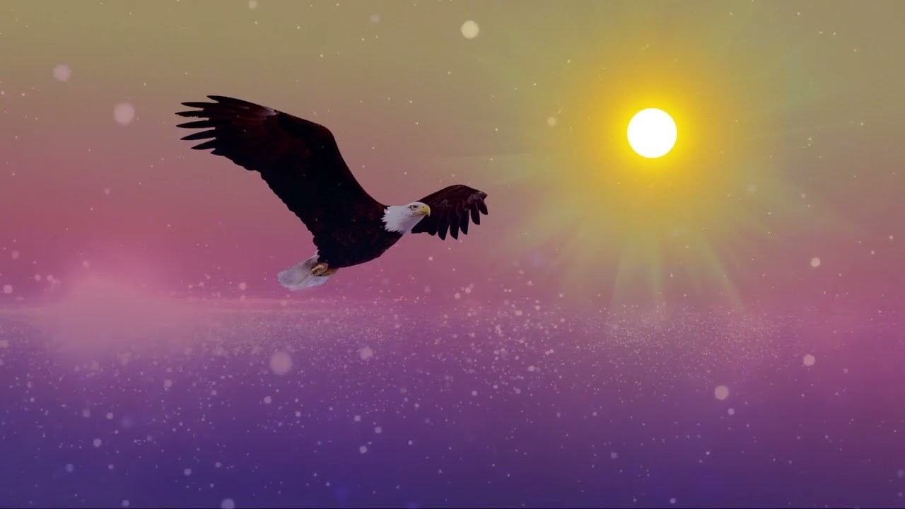 The Power Of Eagle MindSet. - YouTube