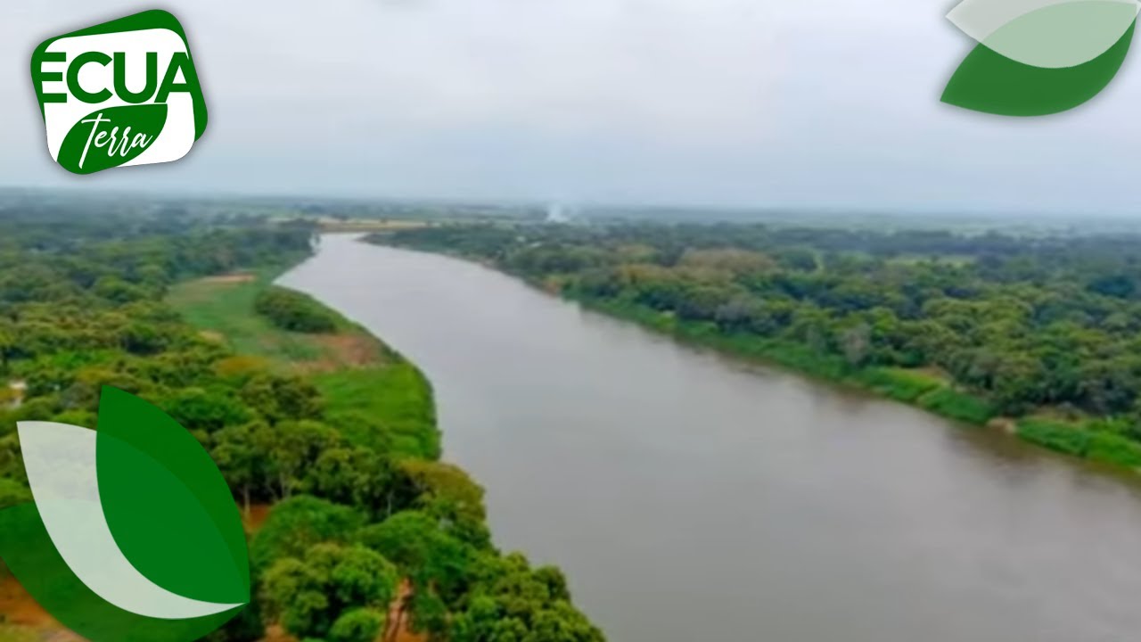 La red hidrográfica del río Daule: Sustentando la vida en Ecuador ...
