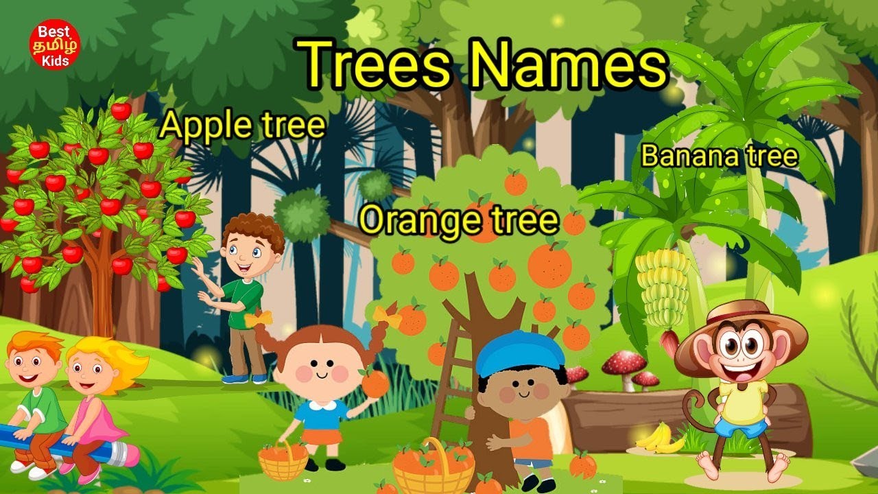 trees names ||apple tree mango tree coconut tree 🌴 orange tree# ...