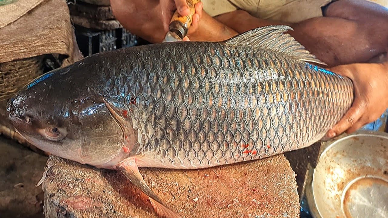 Outstanding Giant Rohu Fish Cutting By Expert Fish Cutter || Unbearable ...