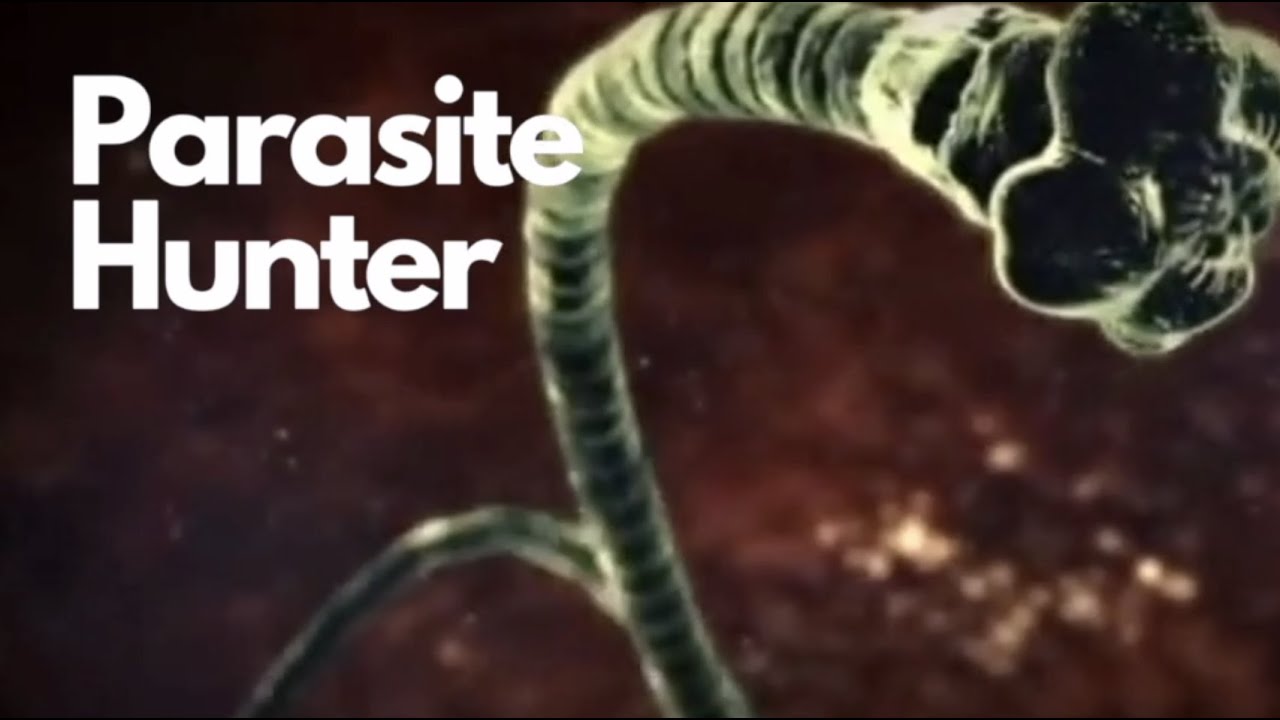 Parasite Hunter - Loa Loa Eye Worm - YouTube