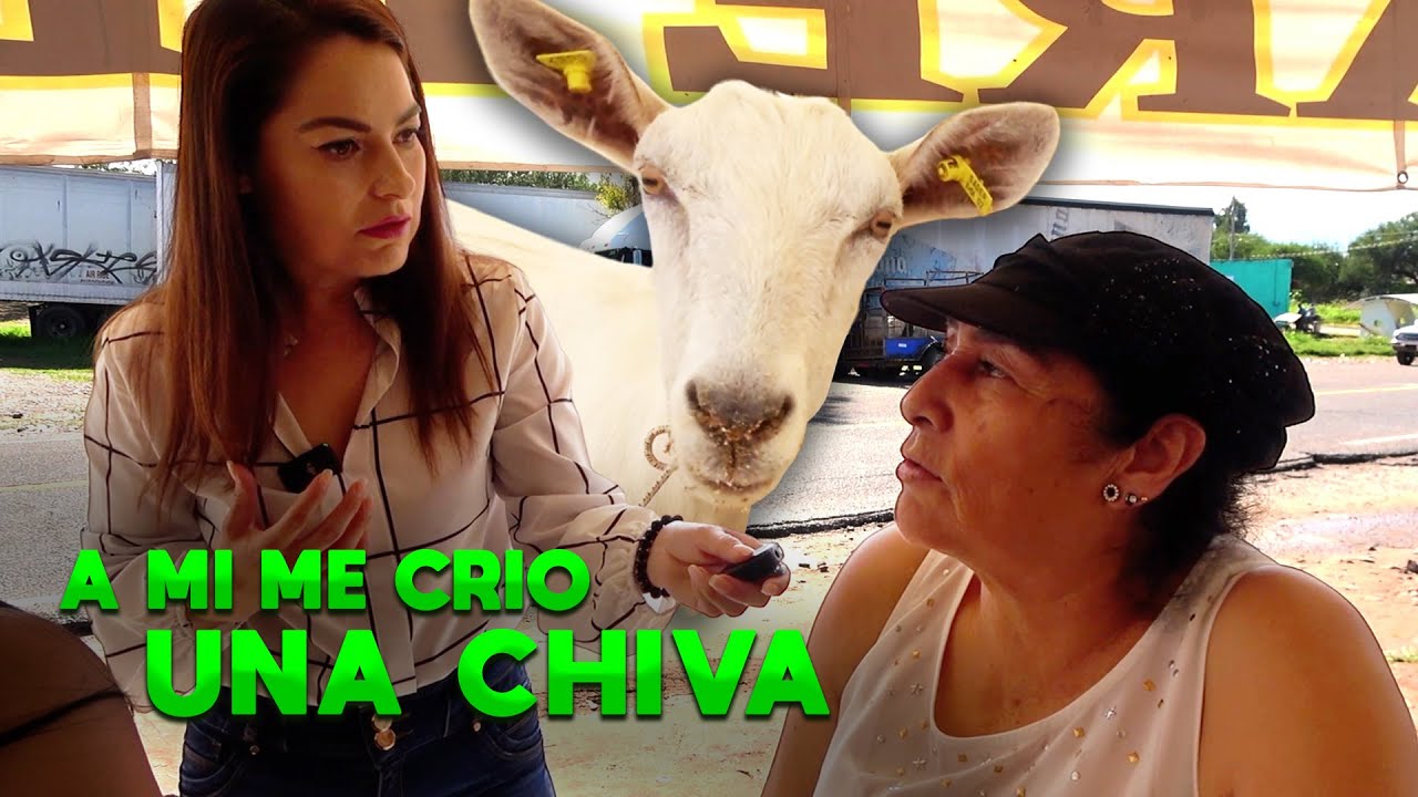 Los PAJARETES de CHIVA| ALMA Coronel - YouTube