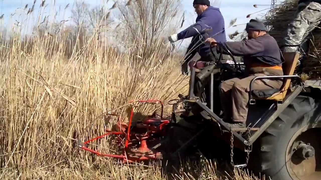 FORSALE! Seiga Reed harvester 3 wheels (nádarató gép) Eladó! - YouTube