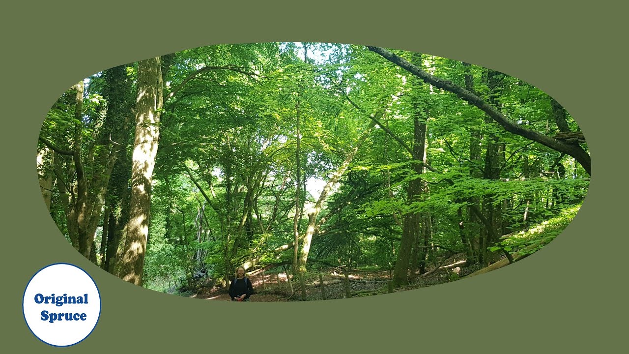 Cobb Lane Winterslow ( instrumental) - YouTube