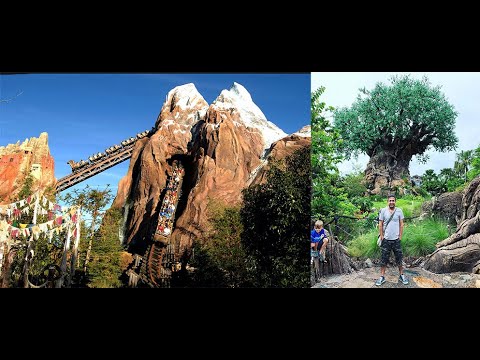 DISNEY'S ANIMAL KINGDOM TURU
