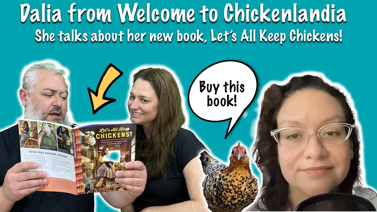 Video Chicken Live: Dalia from Welcome to Chickenlandia - YouTube