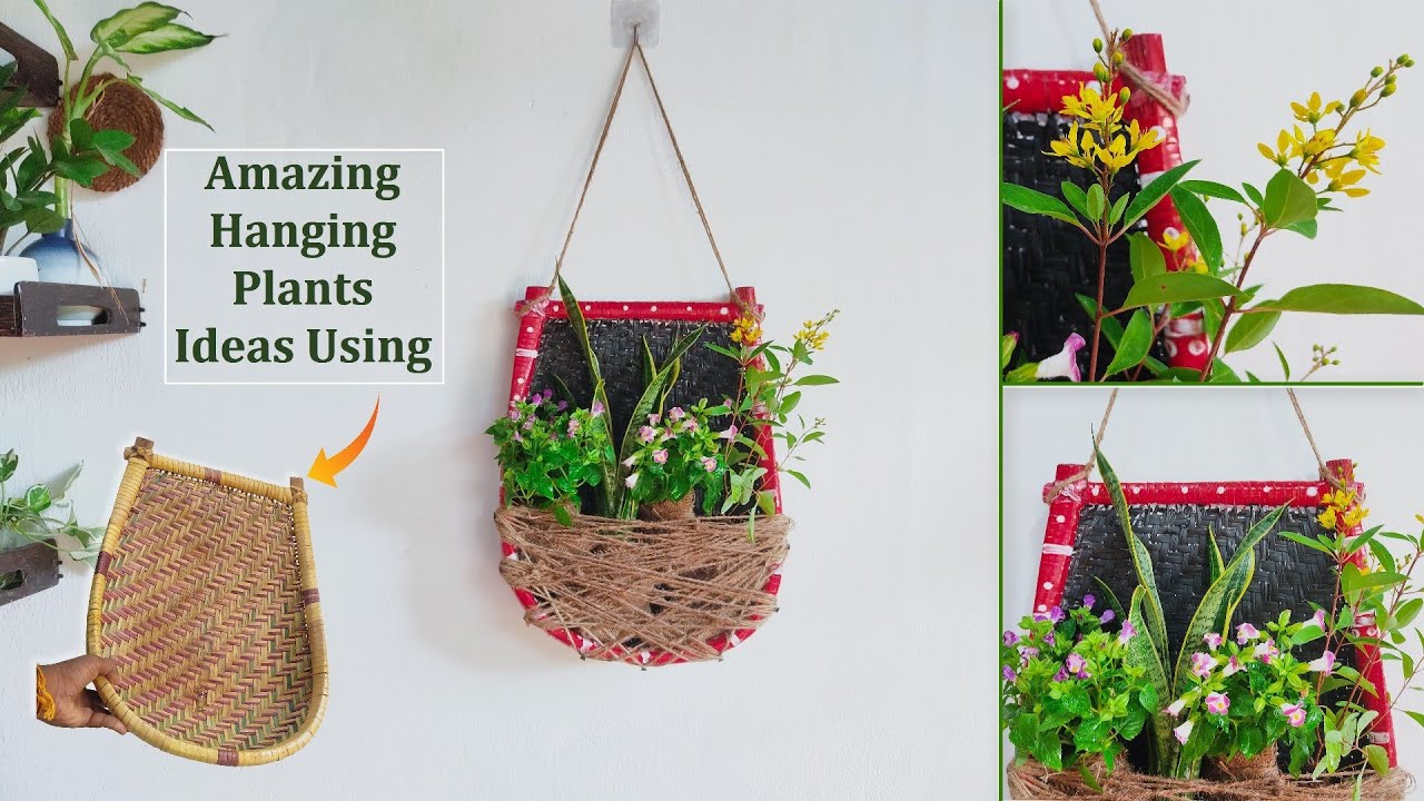 Beautiful Plant Decor Ideas for Your Apartment | Plant Decor Tips for ...
