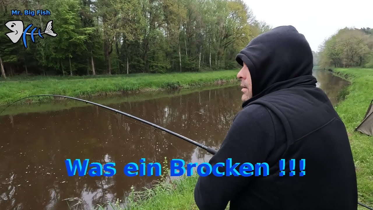 Federrute vs. Wels. Wer wird der Sieger sein. - YouTube