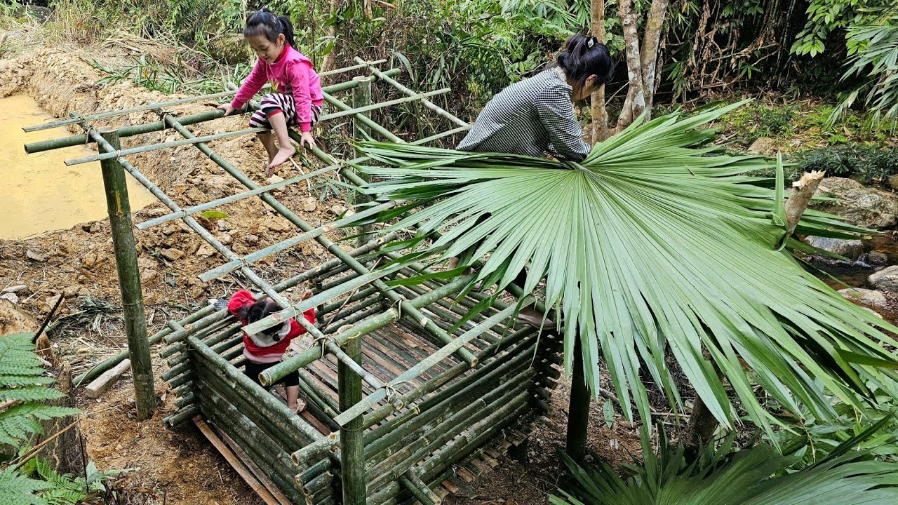 Building a Bamboo Fence for Ducks 2024, Farm Life - Đặng Thị Hương ...