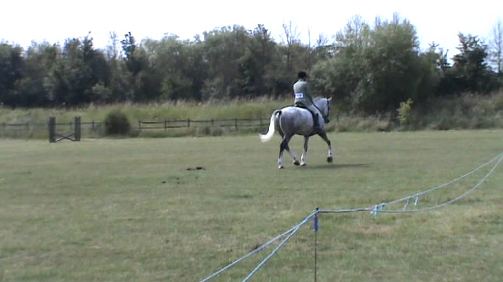 Pinks winning his first Ridden hunter! - YouTube