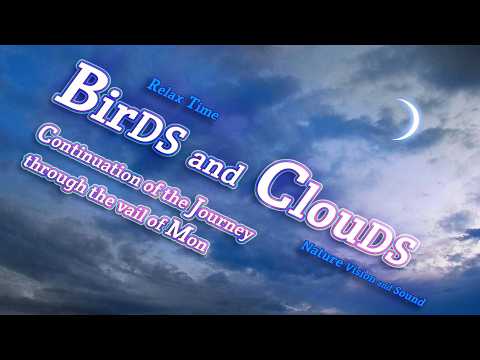 Birds & Clouds & Young Moon – 100% Pure Natural Bird Sounds (No Music/No Wind)