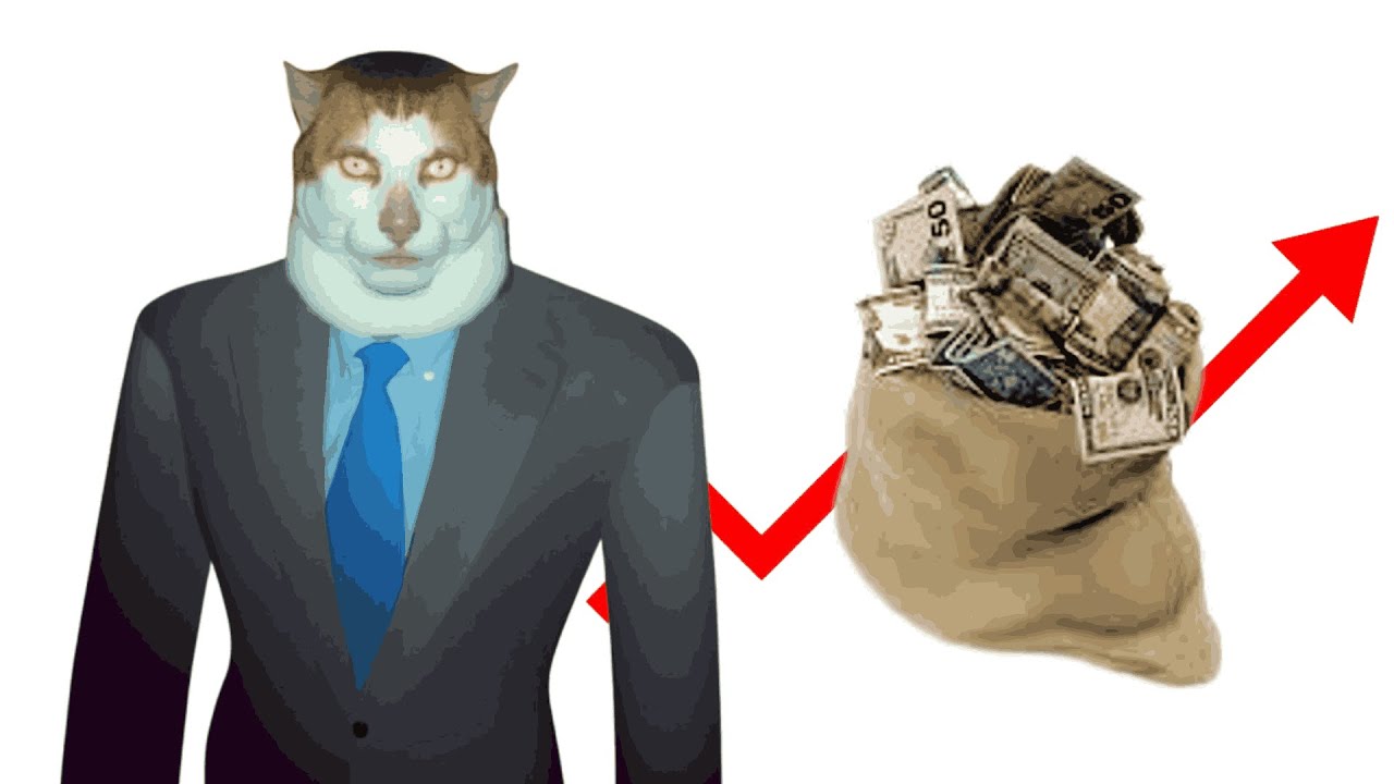Day Trading explained by cats - YouTube