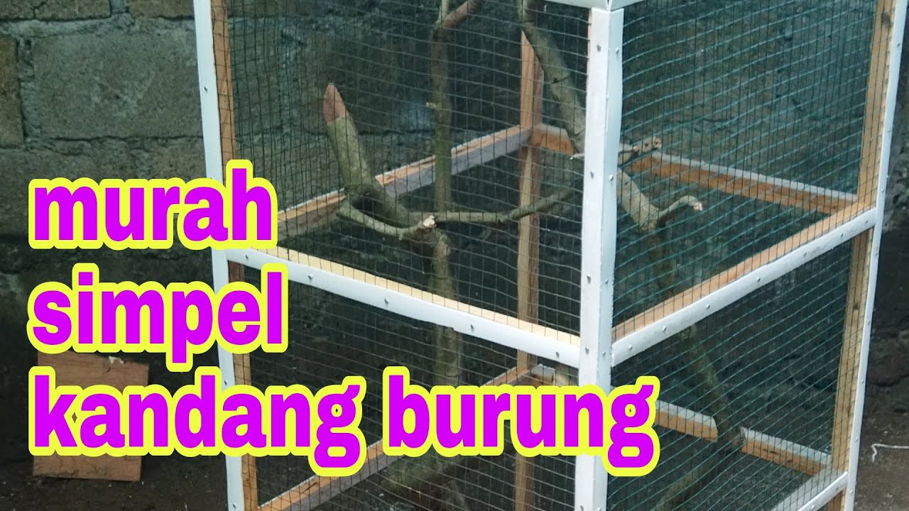 kandang burung kawat ram/kayu - YouTube