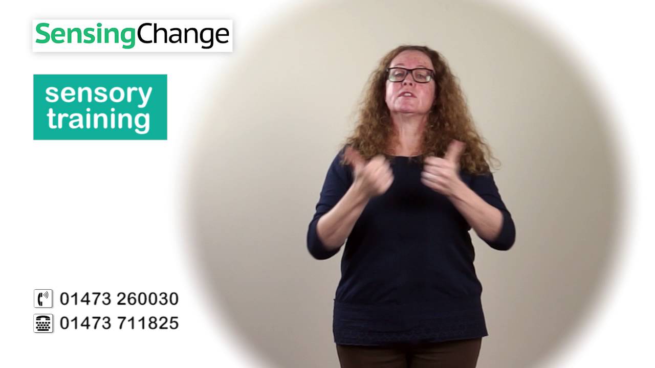 Training in awareness of sight or hearing loss - YouTube