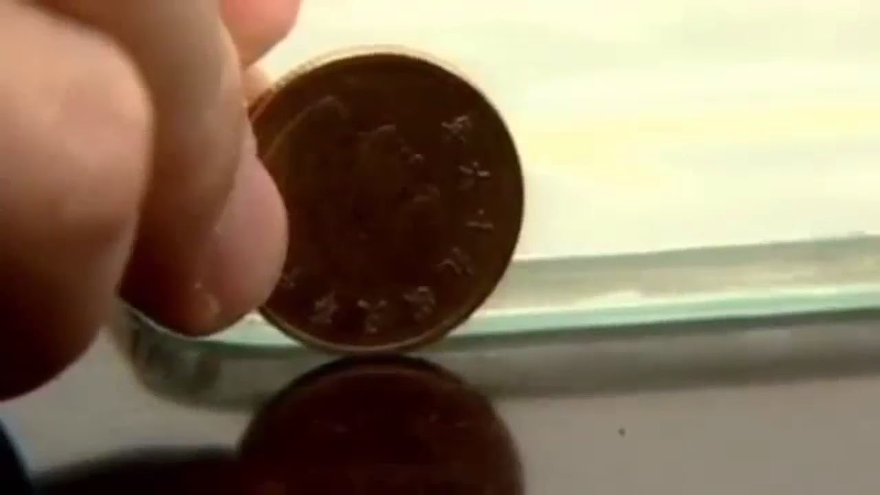 World's First Transparent Mobile Phone by Polytron Technologies YouTube ...