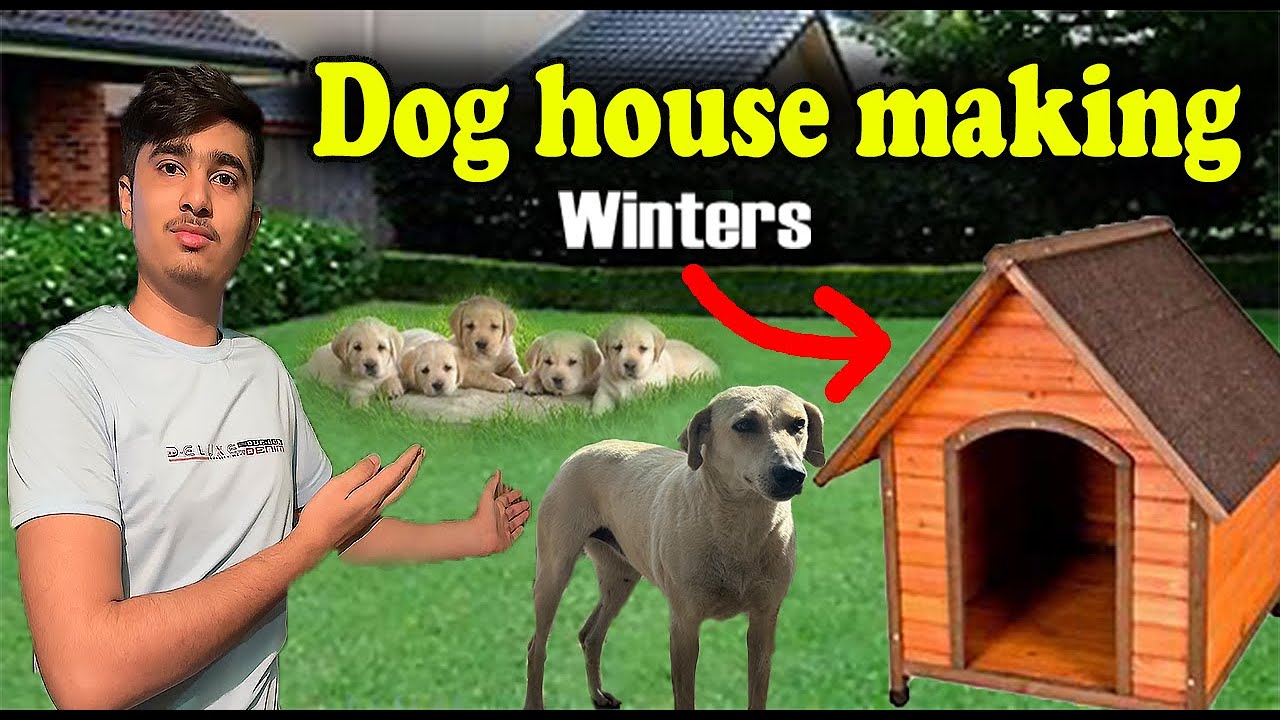 We made dog house in just 100 rupees | Dog house making| Dog puppies ...