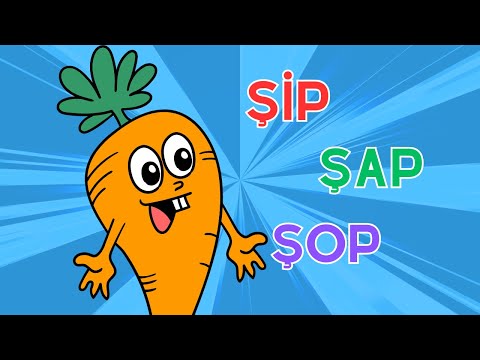 Havuç Adam ŞİP ŞAP ŞOP | Arı VIZ VIZ VIZ | Eğitici Çocuk Videoları
