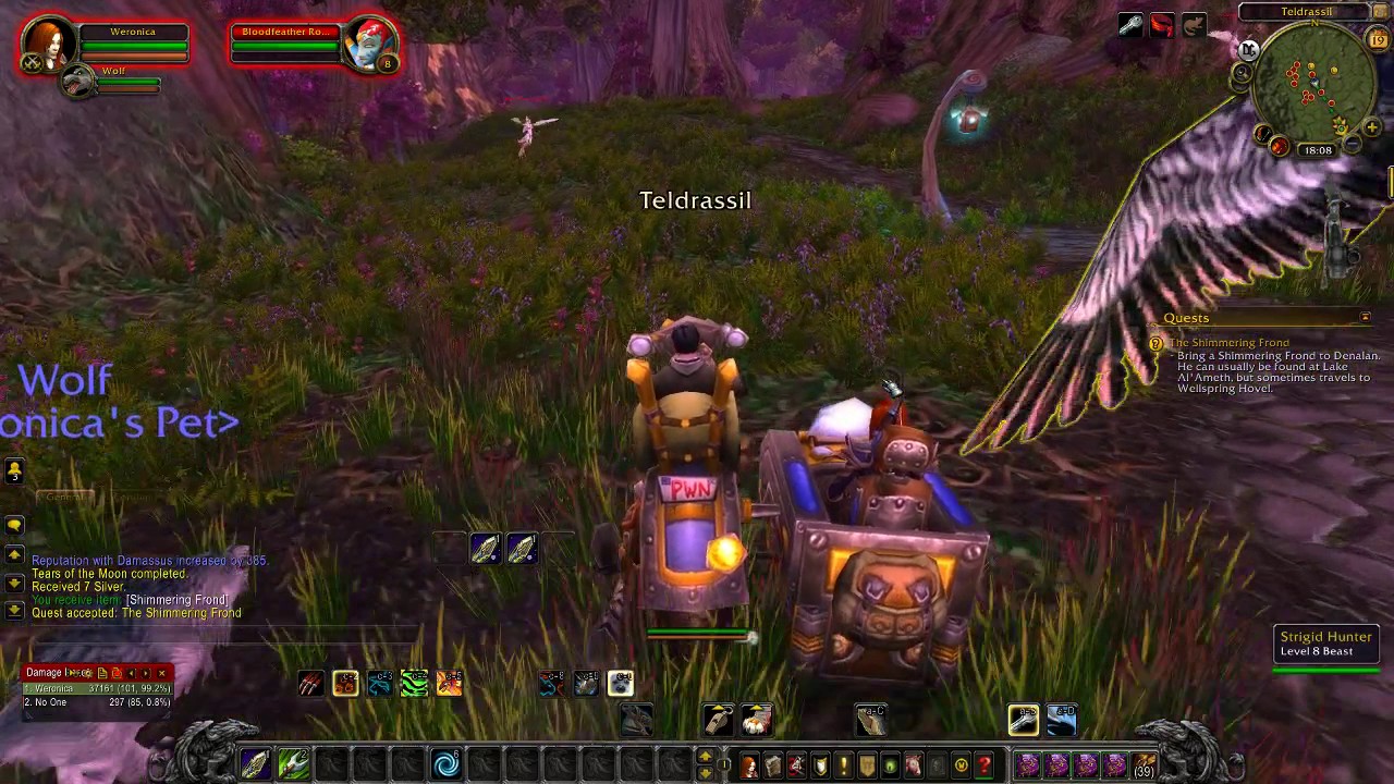 World Of Warcraft Quest Info: The Shimmering Frond - YouTube