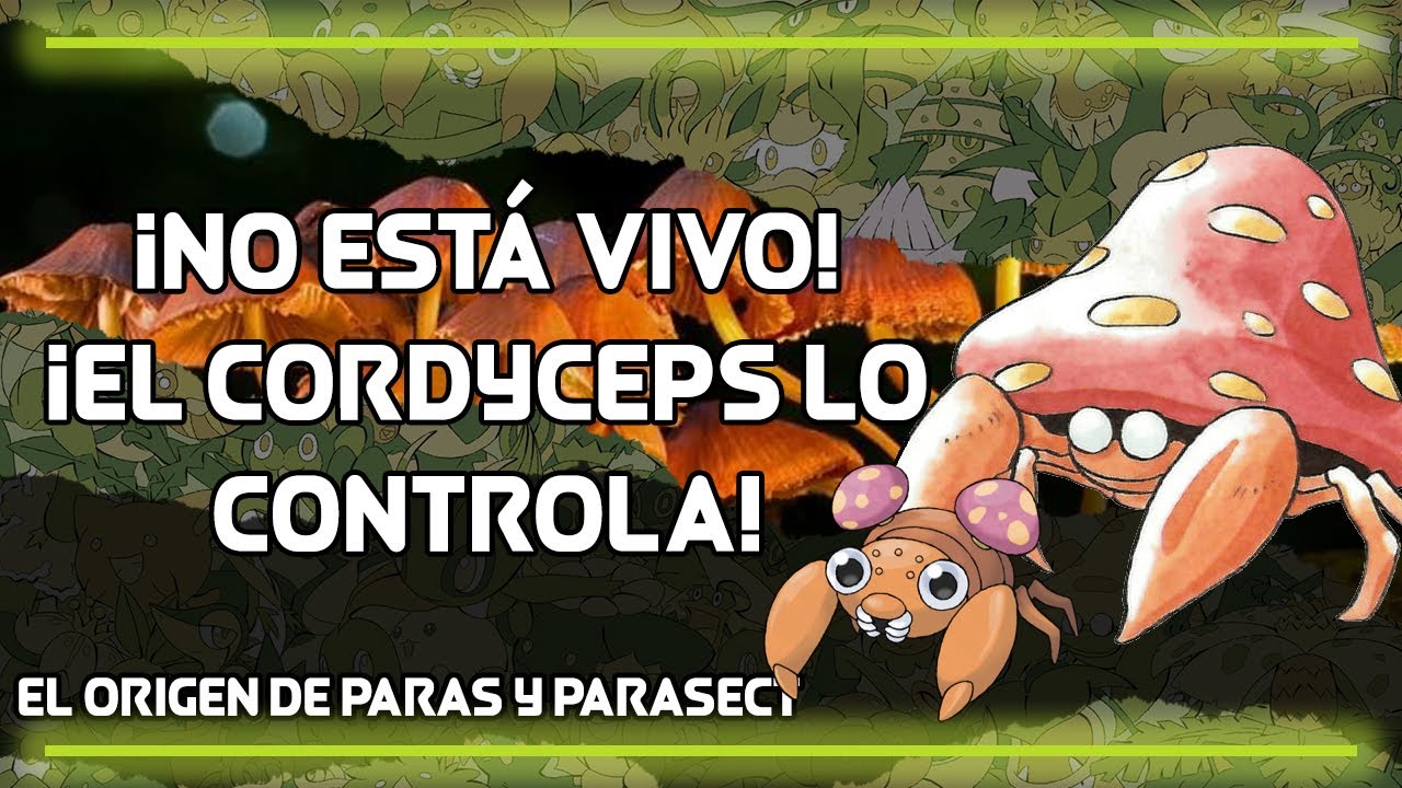 Hongos parásitos e insectos | El origen de Paras y Parasect | Pokémon ...