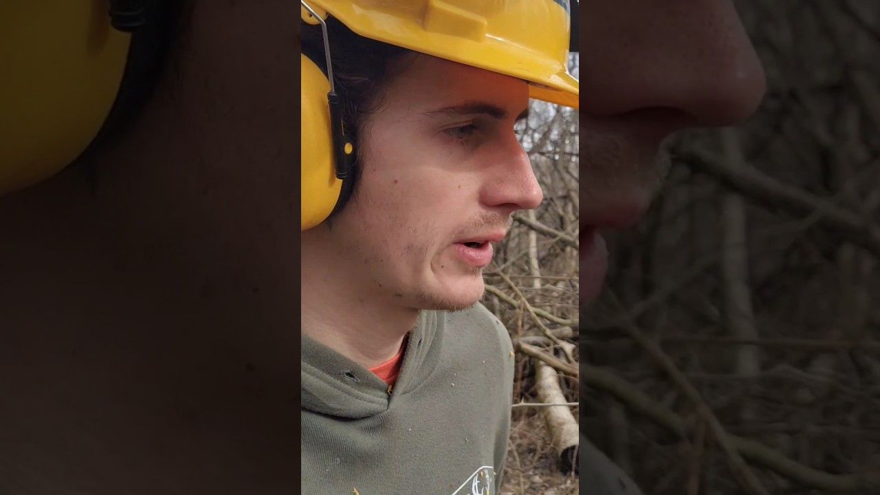 The new food plot design is coming together as we continue cutting this ...