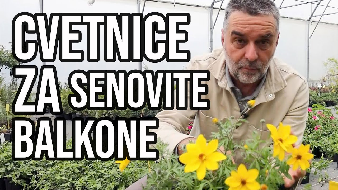 Cvetnice za senovite balkone - YouTube