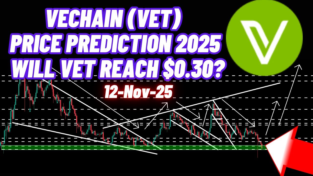 VeChain Crypto News & Price Prediction 2025 | Will VET Reach $0.30 ...