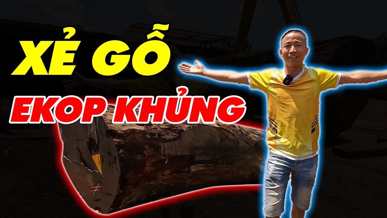 🔴 Xẻ cây gỗ Ekop siêu to khổng lồ | Sơn Sập Gỗ - YouTube