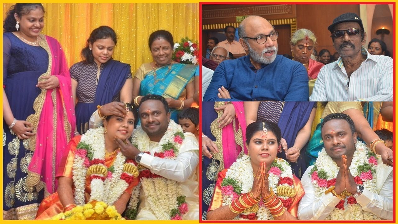 Producer M Ramanathan Daughter Wedding Photos - YouTube