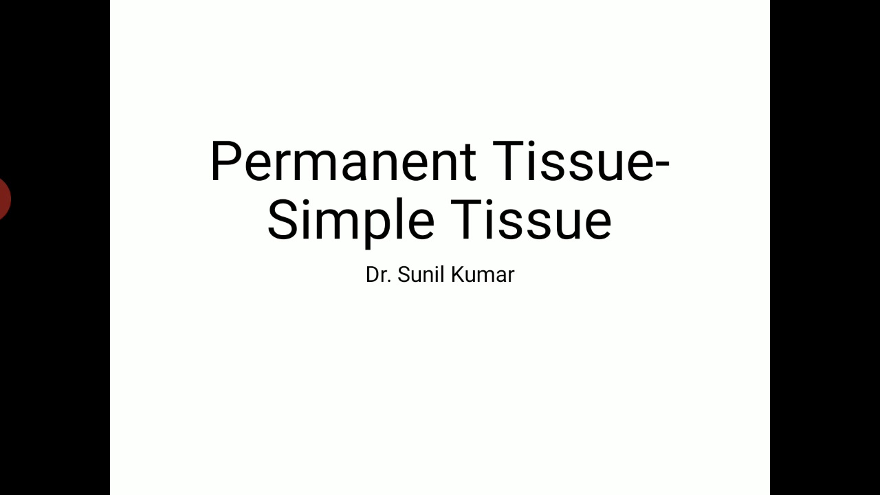 B. Sc. II Permanent Tissue- Simple Tissue (Sclerenchyma) - YouTube