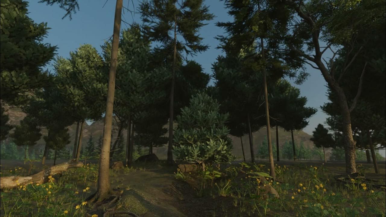 forest animation in Blender3d by Garvar - YouTube