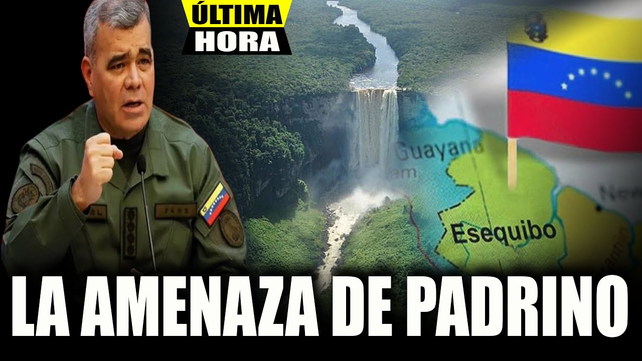 🔴 👉 👉 El Nuevo SHOW Creado Por Padrino Flores ENTÉRATE 👮 - YouTube