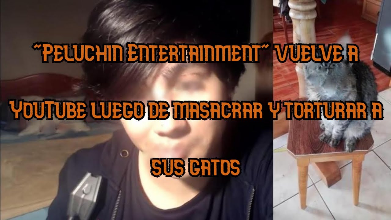 Peluchin Vuelve a YouTube luego de TORTURAR Y MASACRAR a sus GATOS ...