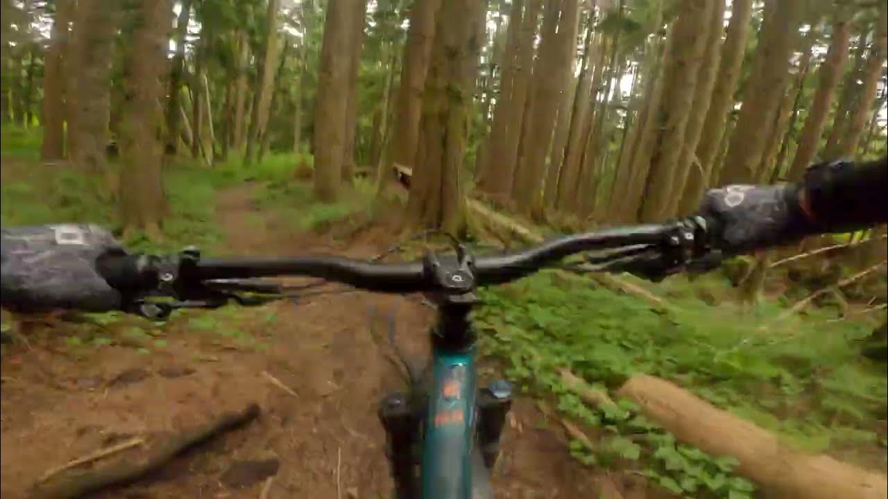 Mental Floss - YouTube