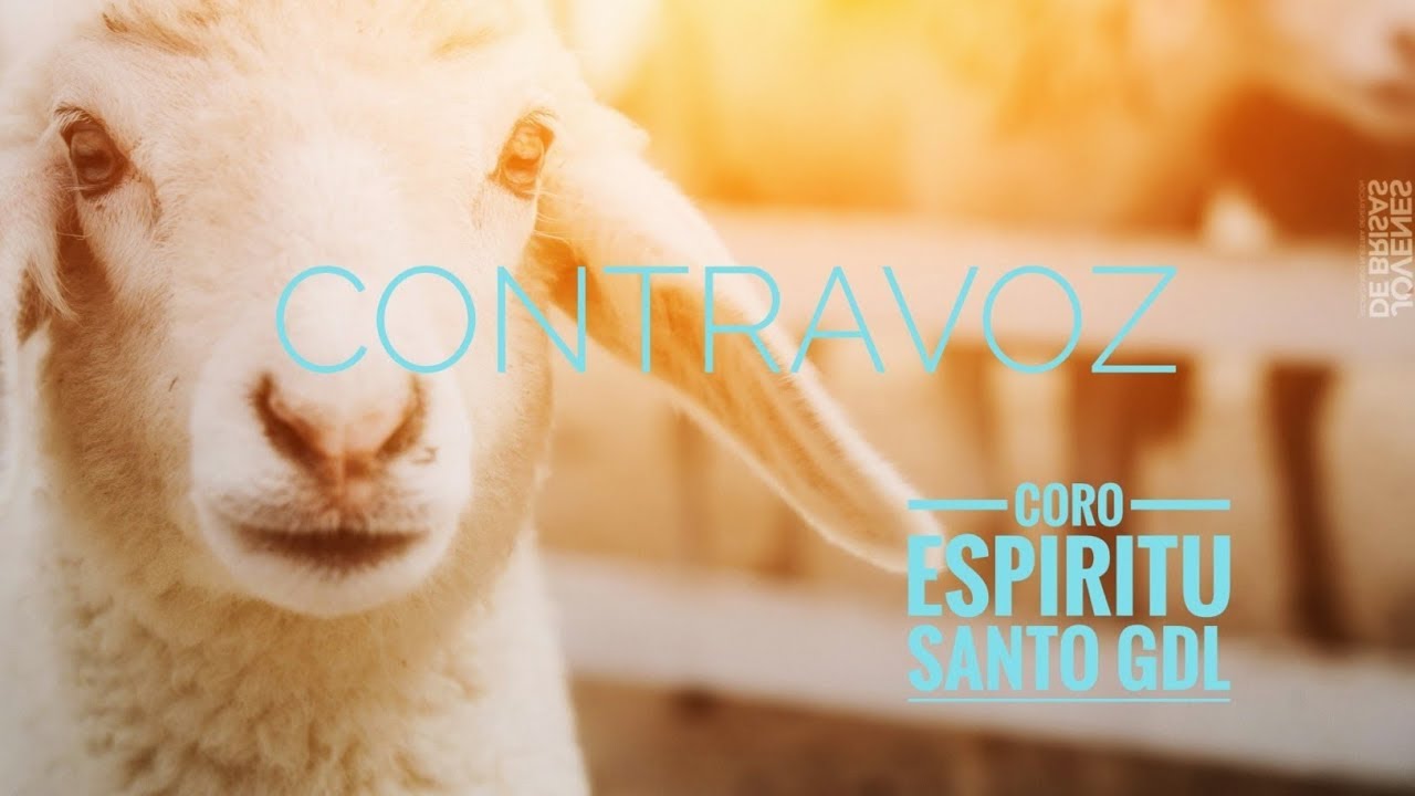 Canto de Cordero | Cordero Contravoz | Coro Espiritu Santo | Misa ...