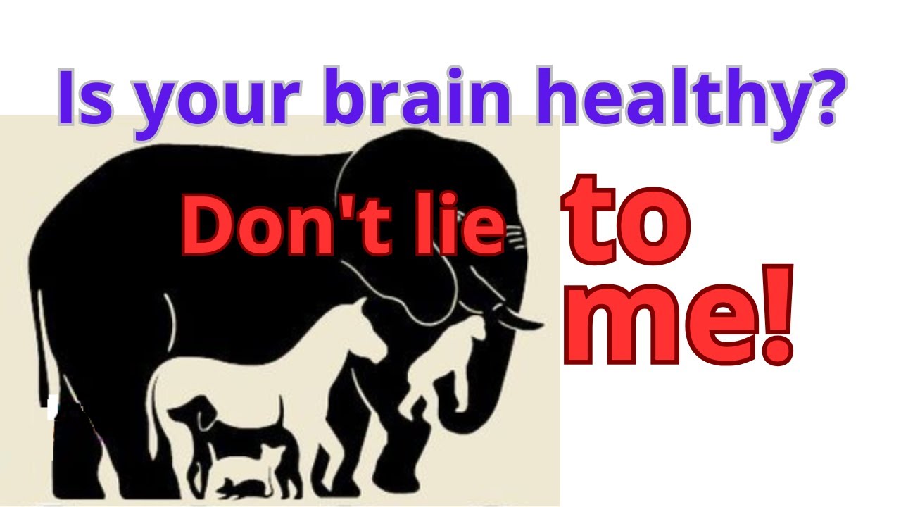 Upgrade Your Brain Simple Habits for Optimal Brain Health - YouTube