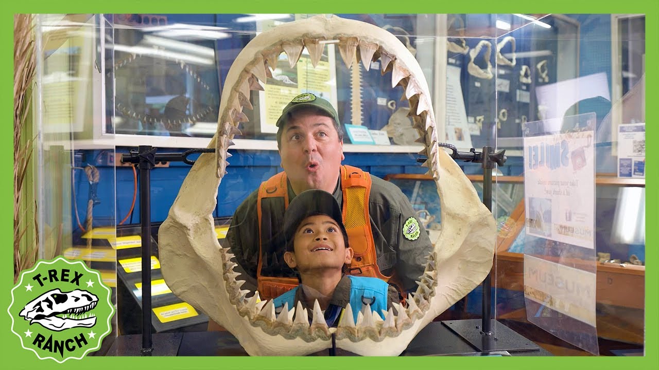 NEW! The Magic of Sharktooth Hill T-Rex Ranch Dinosaur Videos - YouTube