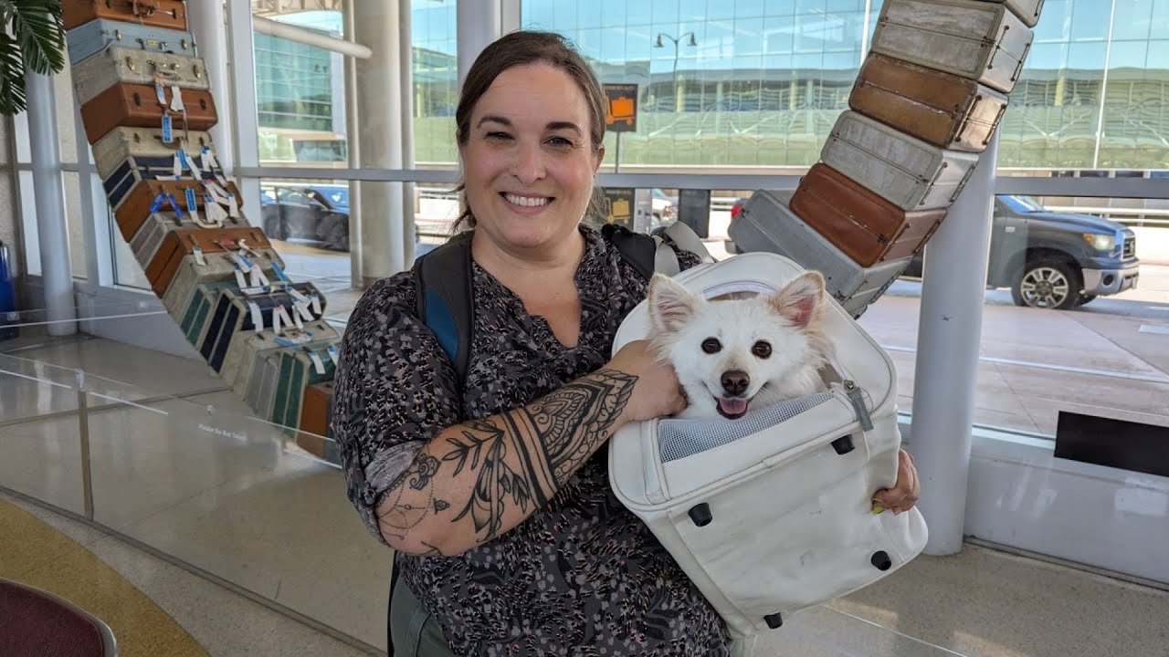 Traveling with a pet? San Antonio International Airport teams up with ...