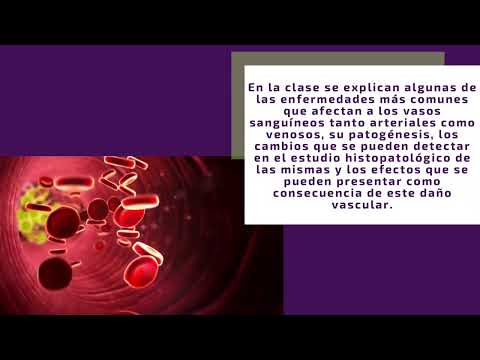 Curso de Patología 2022-A
