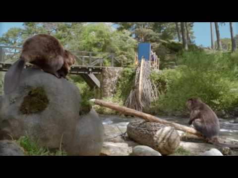Chaudfontaine reclame bevers Belgische tv spot