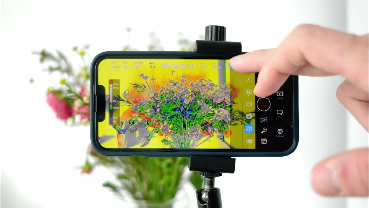Большой гайд по программе Blackmagic Camera (iOS) - YouTube